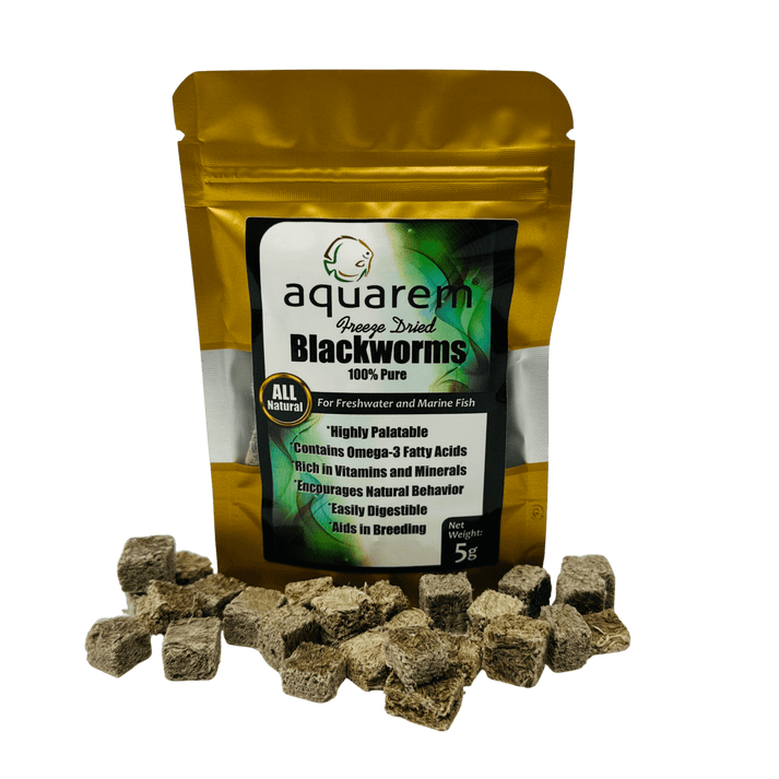 Super Cichlids Freeze-Dried Blackworms (All Natural, High Protein Fish ...