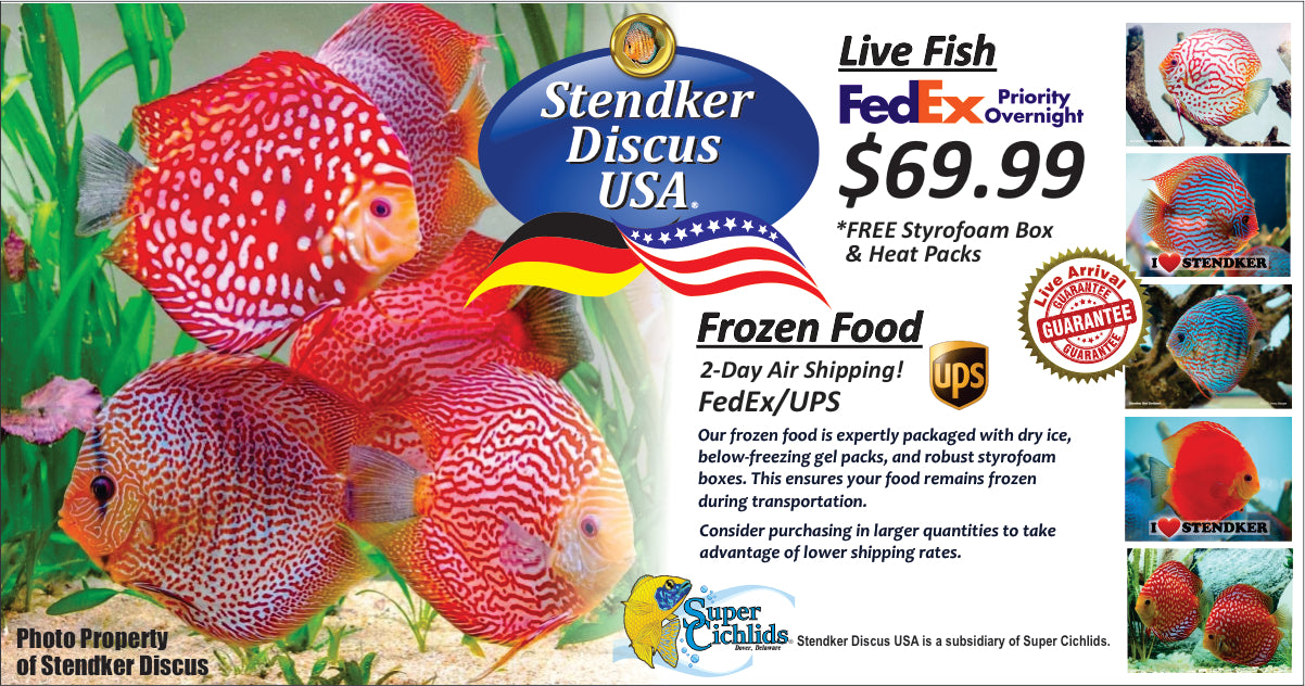 Stendker Discus USA: #1 Source for Premium Discus